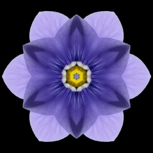 Blooming Flower Visualizations – Visualizing Birth