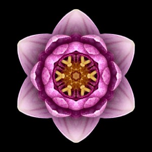 Blooming Flower Visualizations – Visualizing Birth