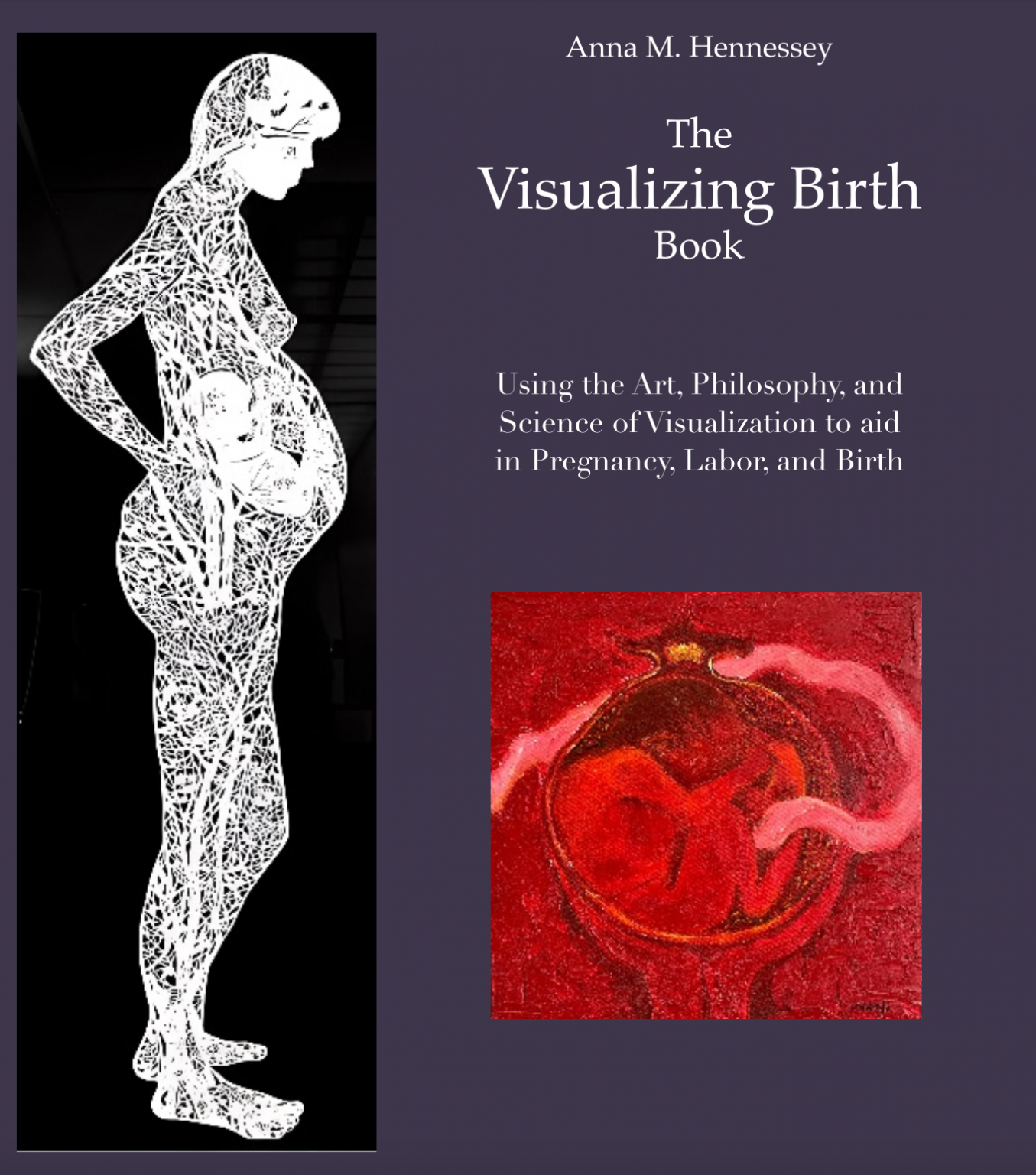 The Visualizing Birth Book to launch in 2025 – Visualizing Birth